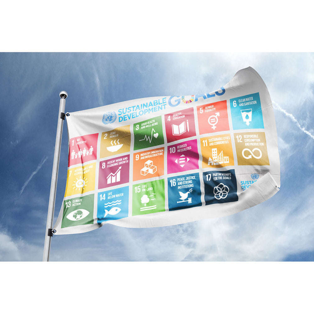Official SDGs Pins Collection | UNDP Shop